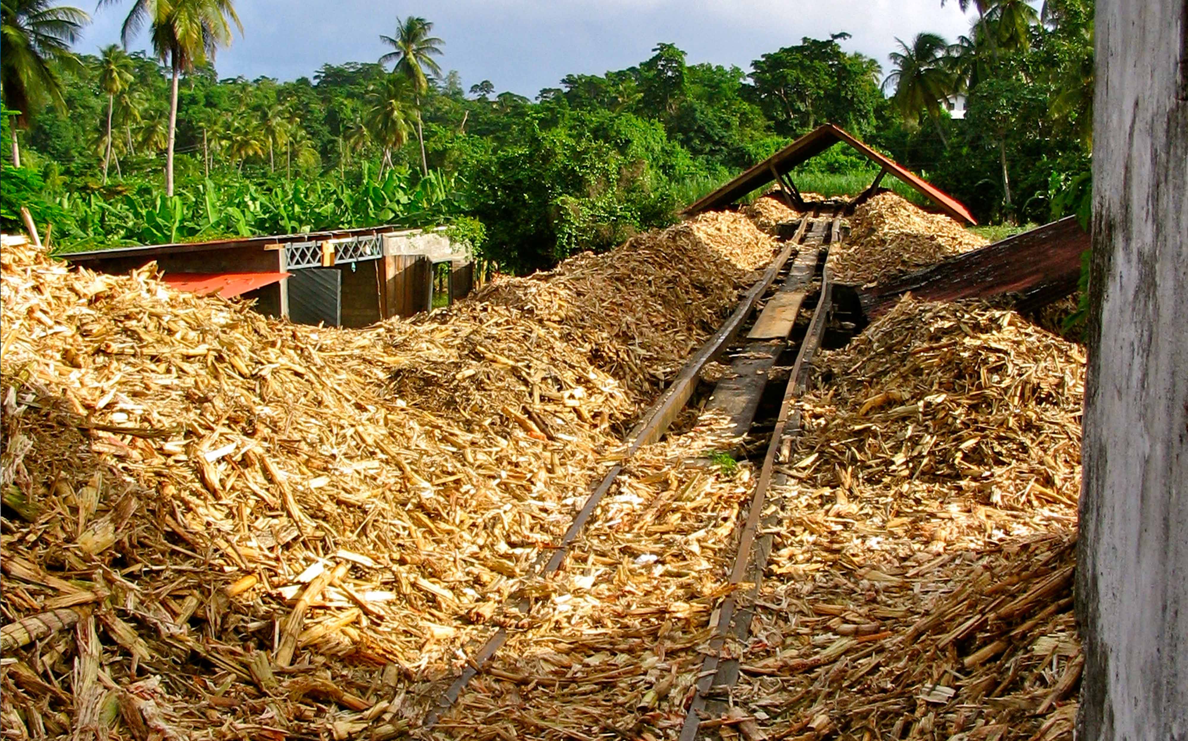 Vietnam s Sugar Mills Await Policies To Produce Electricity From Vietnam s Sugar Mills Await Policies To Produce Electricity From